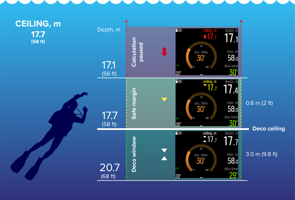 Decompression Sickness - Seapixels Dive Team