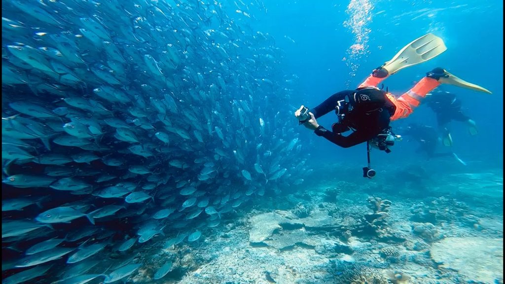 Our Beautiful Sipadan, Sabah - Seapixels Dive Team